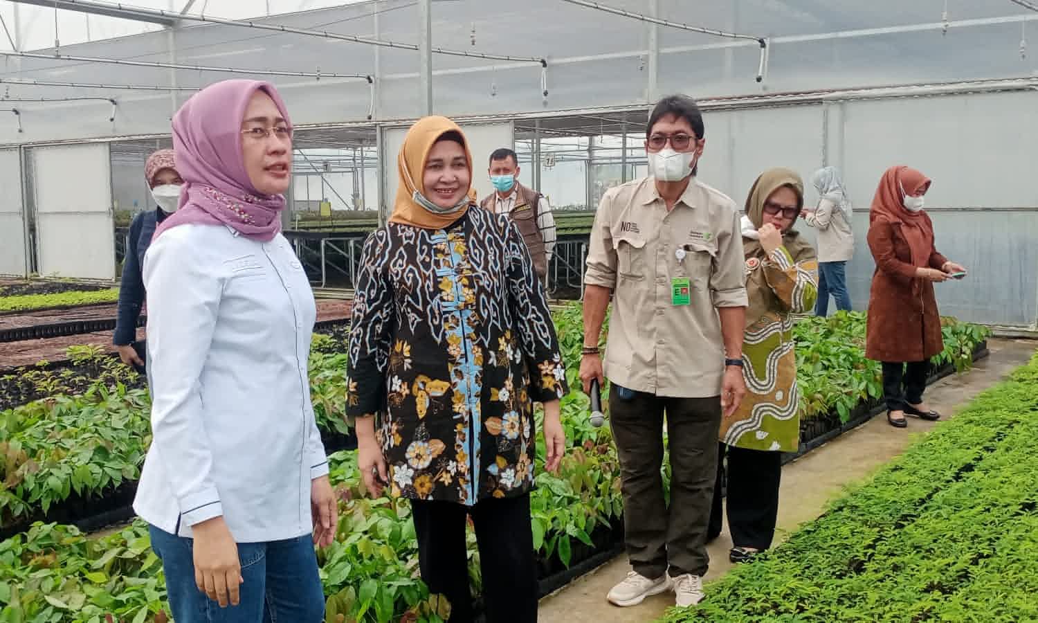 Kementerian LHK Bekerja Sama Dengan Kementerian PUPR Membangun ...